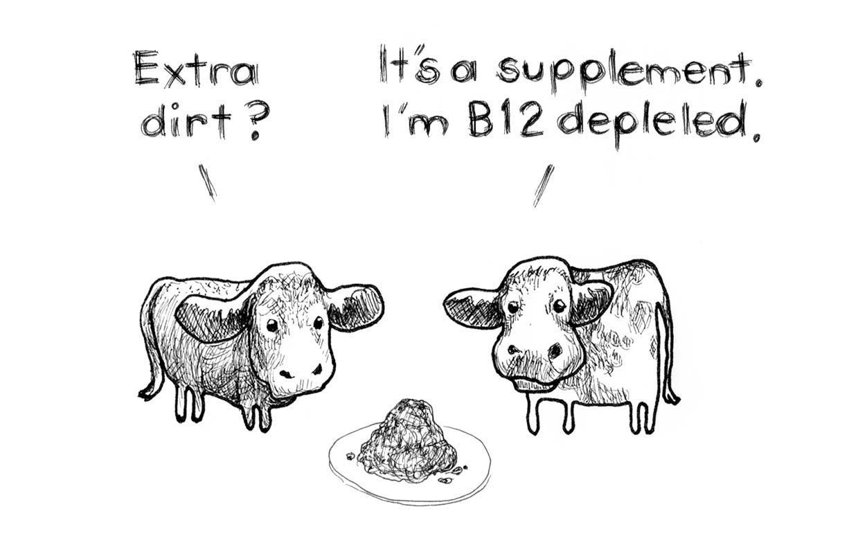 Detecting a B12 Deficiency before it’s too late - you need to test more ...